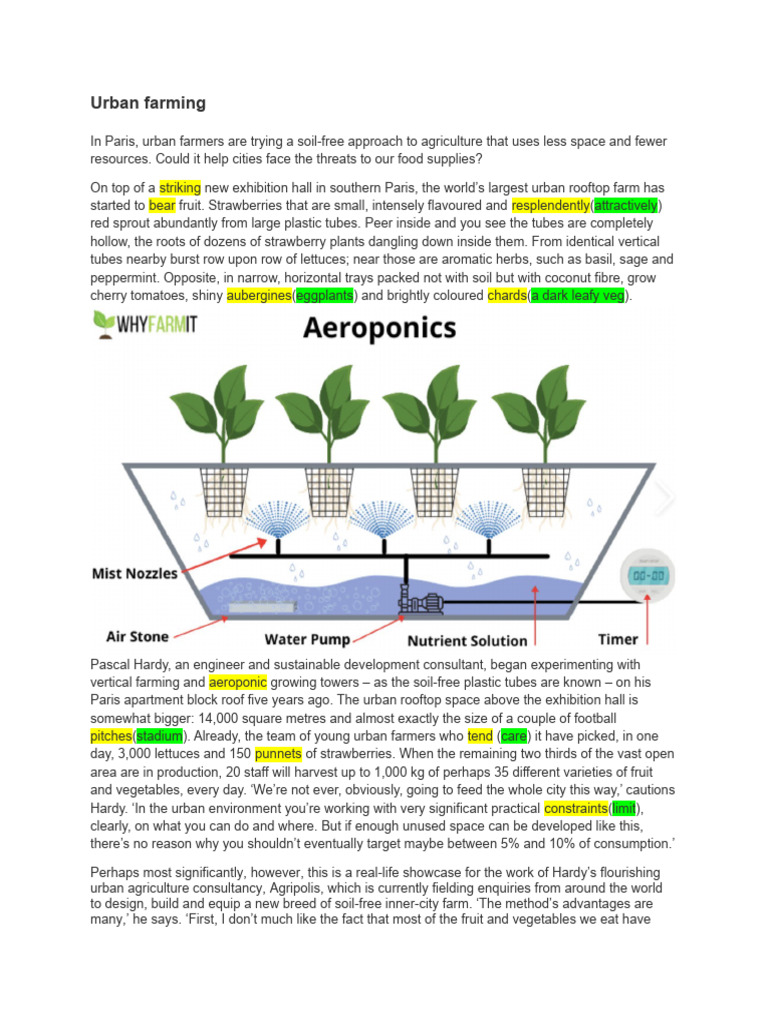 Soil-Free Urban Farming in Paris | PDF | Urban Agriculture | Agriculture