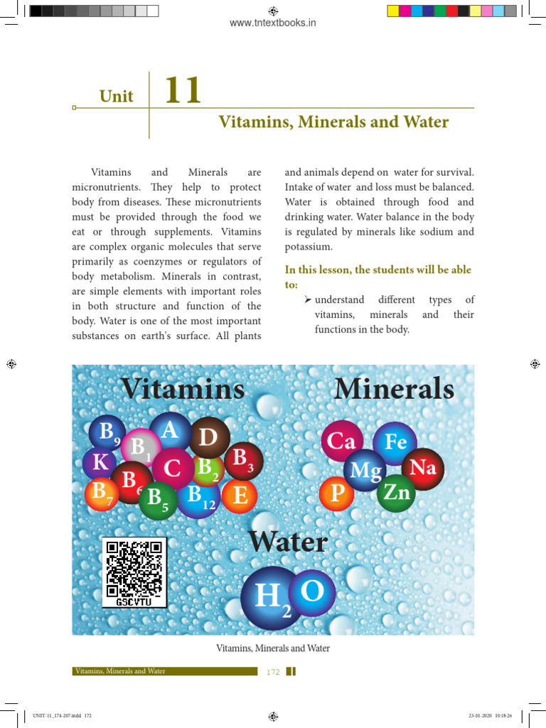 Vitamins - Explanation | PDF | Vitamin A | Vitamin D