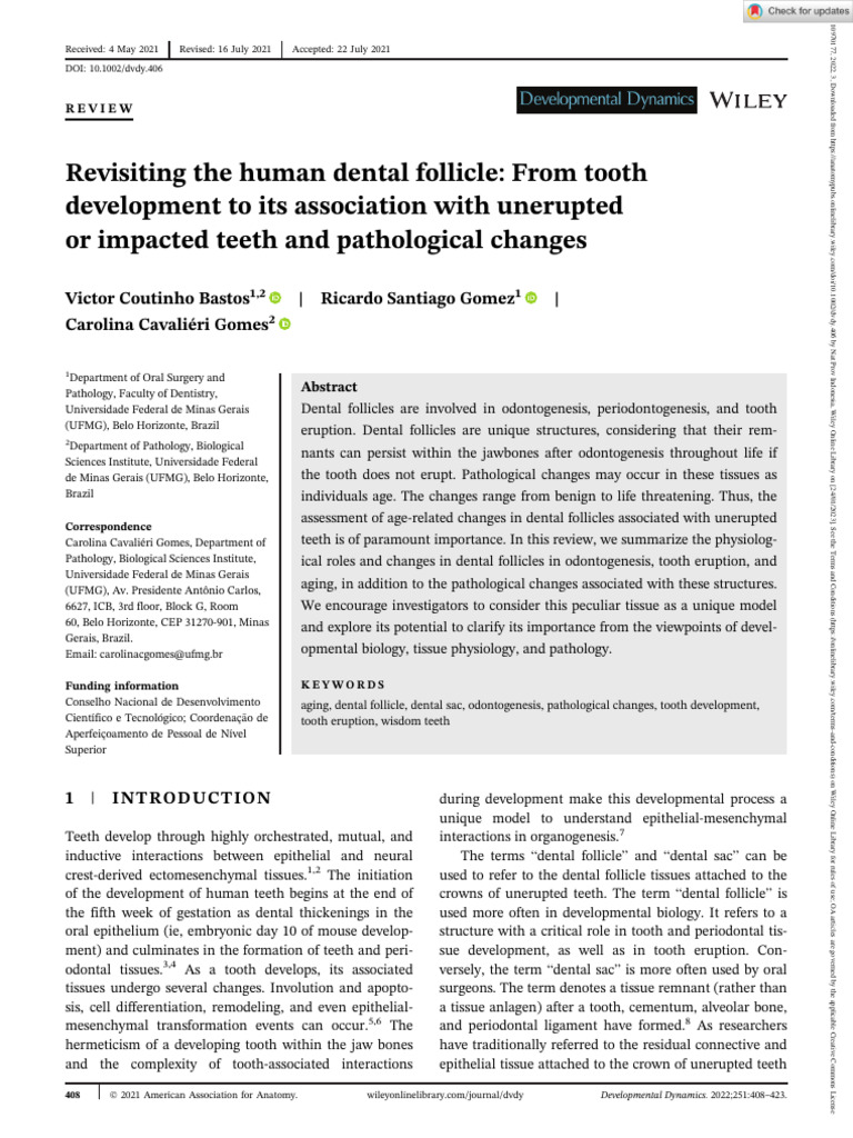Developmental Dynamics - 2021 - Bastos - Revisiting The Human Dental ...