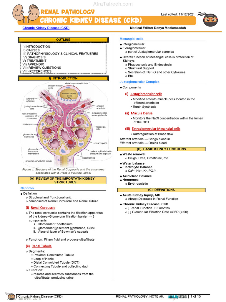 Chronic Kidney Disease (CKD) Etiology, Pathophysiology, Clinical ...
