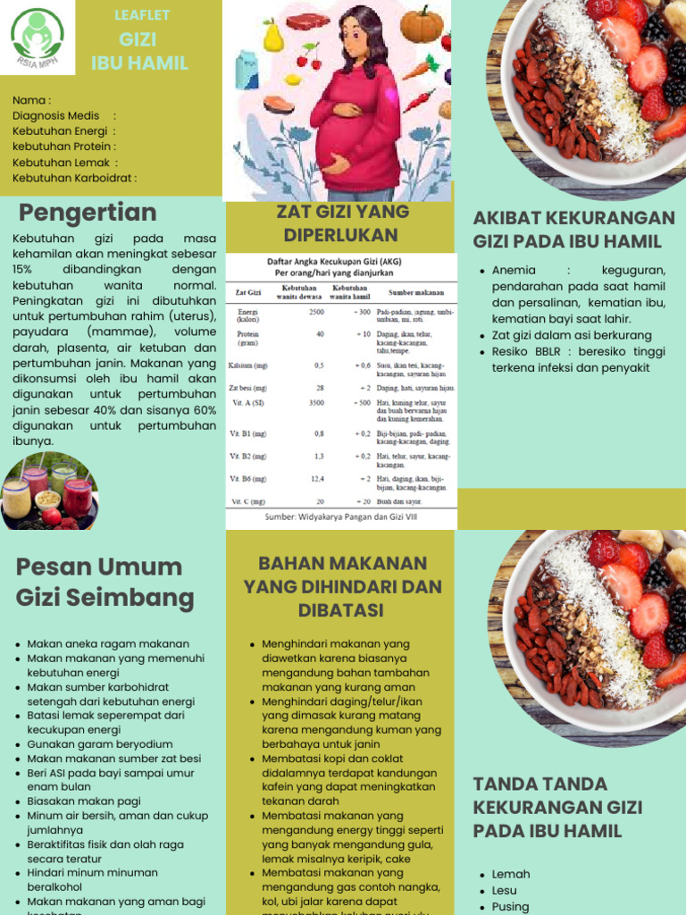 LEAFLET GIZI IBU HAMIL | PDF