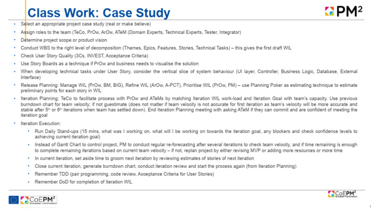 Case Study Instructions | PDF | Software Development | Systems Engineering