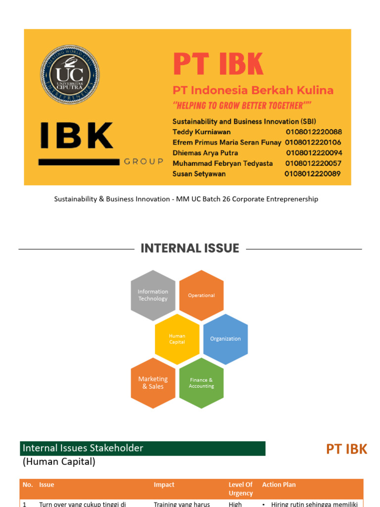 SBI Tugas Week 2 - Internal Issue PT IBK | PDF