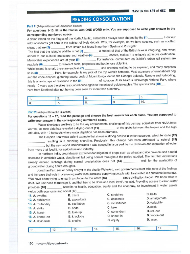 Reading Mixed | PDF