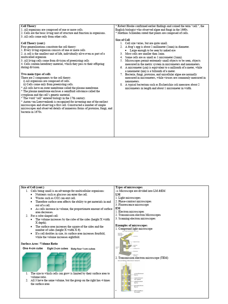 Cell Theory | PDF | Microscope | Electron Microscope