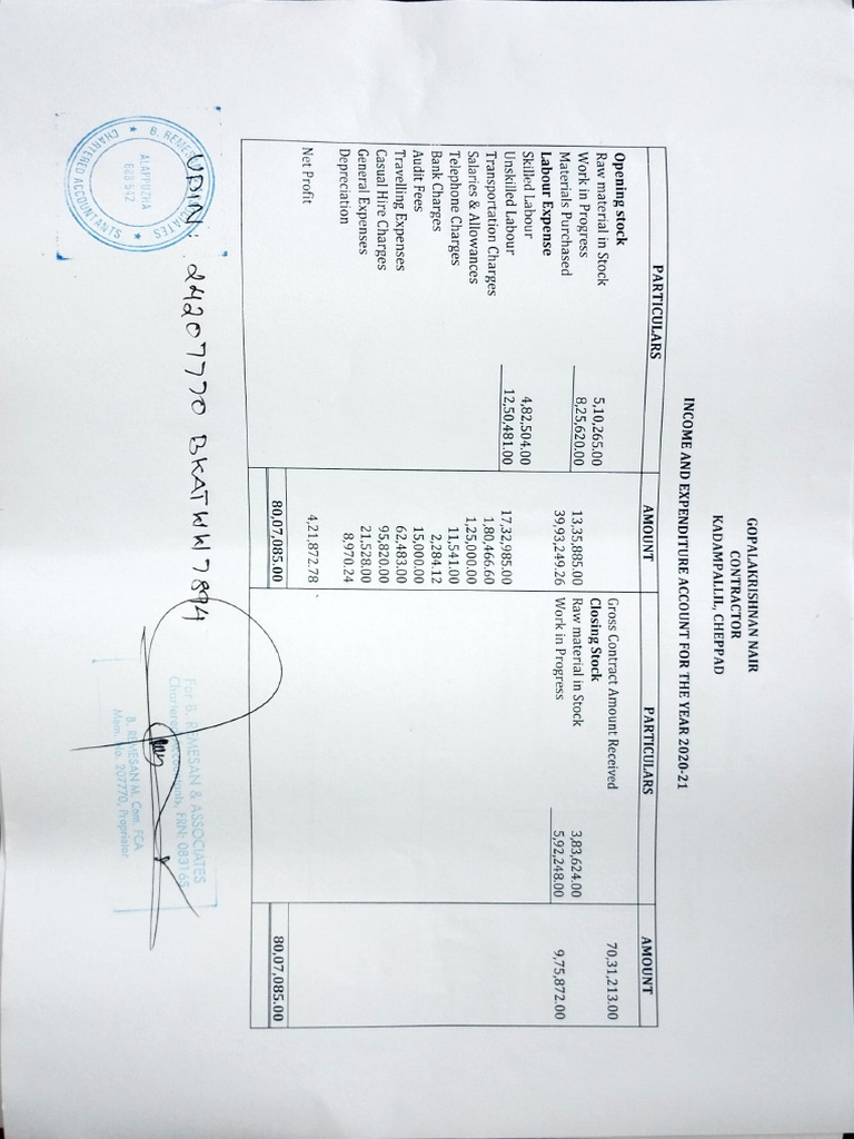 Balance Sheet by CA | PDF