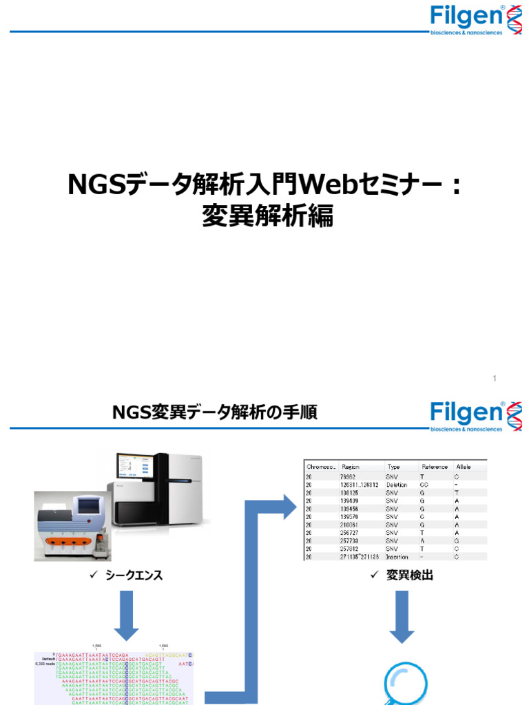 NGS変異データ解析の手順 | PDF