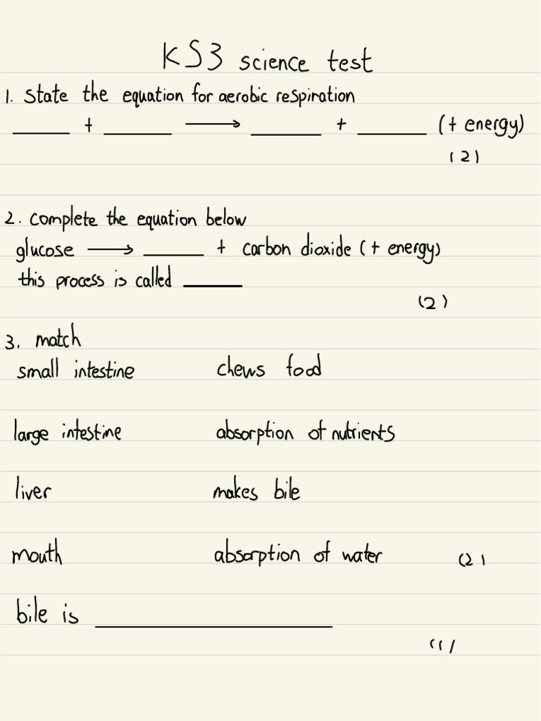 KS3 Science Test | Download Free PDF | Physical Sciences | Nuclear Physics