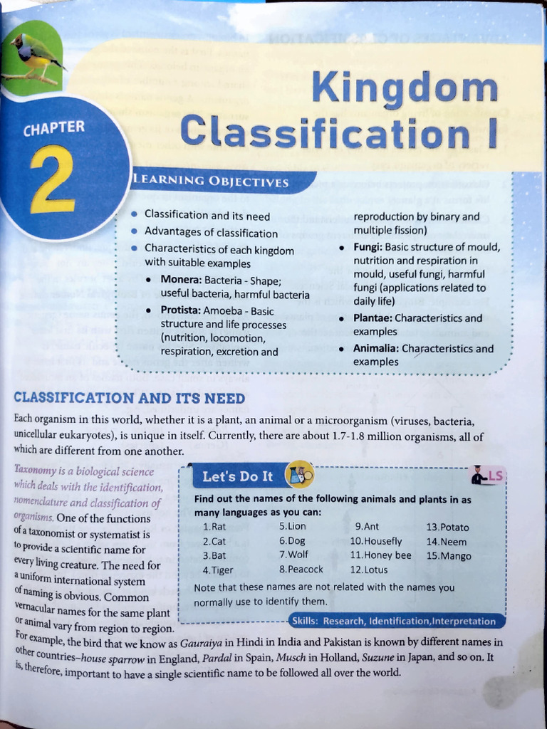 Kingdom Classification 7icse | PDF | Bacteria | Cell (Biology)