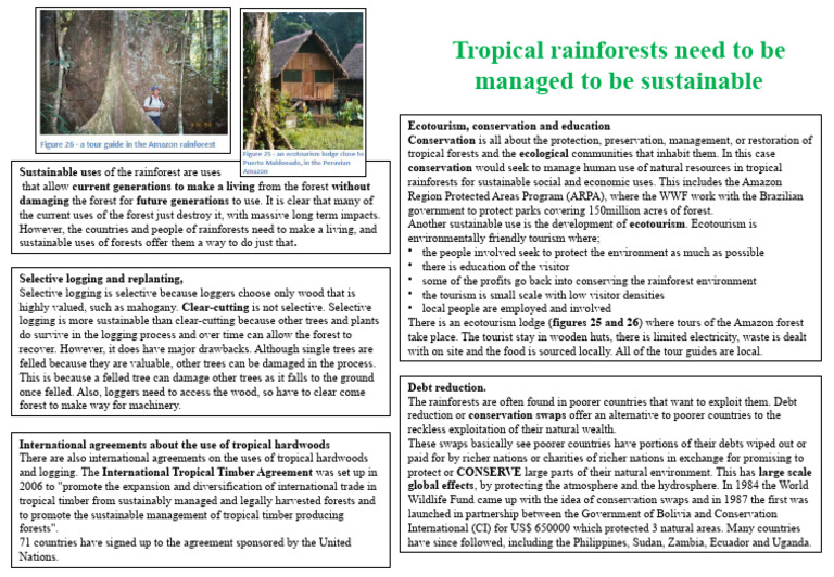 Sustainable Management of Rainforests | PDF | Logging | Sustainability