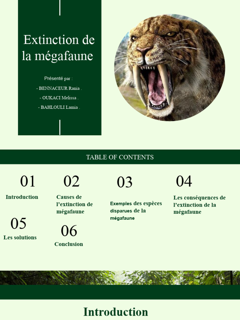 Extinction de La Megafaune. | PDF | Extinction | Biodiversité