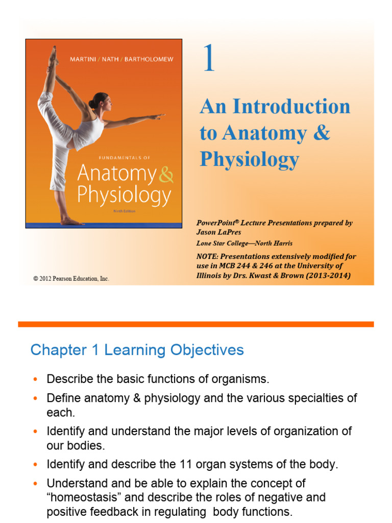 Anatomy & Physiology Introduction | PDF | Peritoneum | Anatomical Terms ... Anatomy & Physiology Introduction | PDF | Peritoneum | Anatomical Terms ...