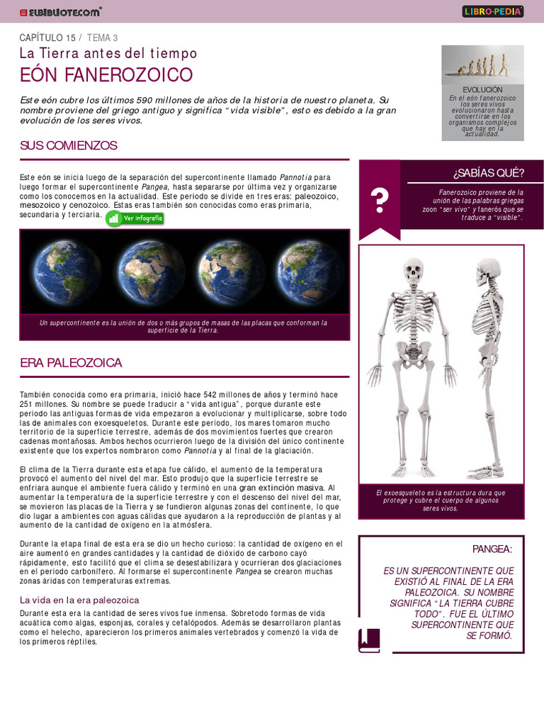 Eón Fanerozoico: La Tierra Antes Del Tiempo | PDF | Ciencias de la ...