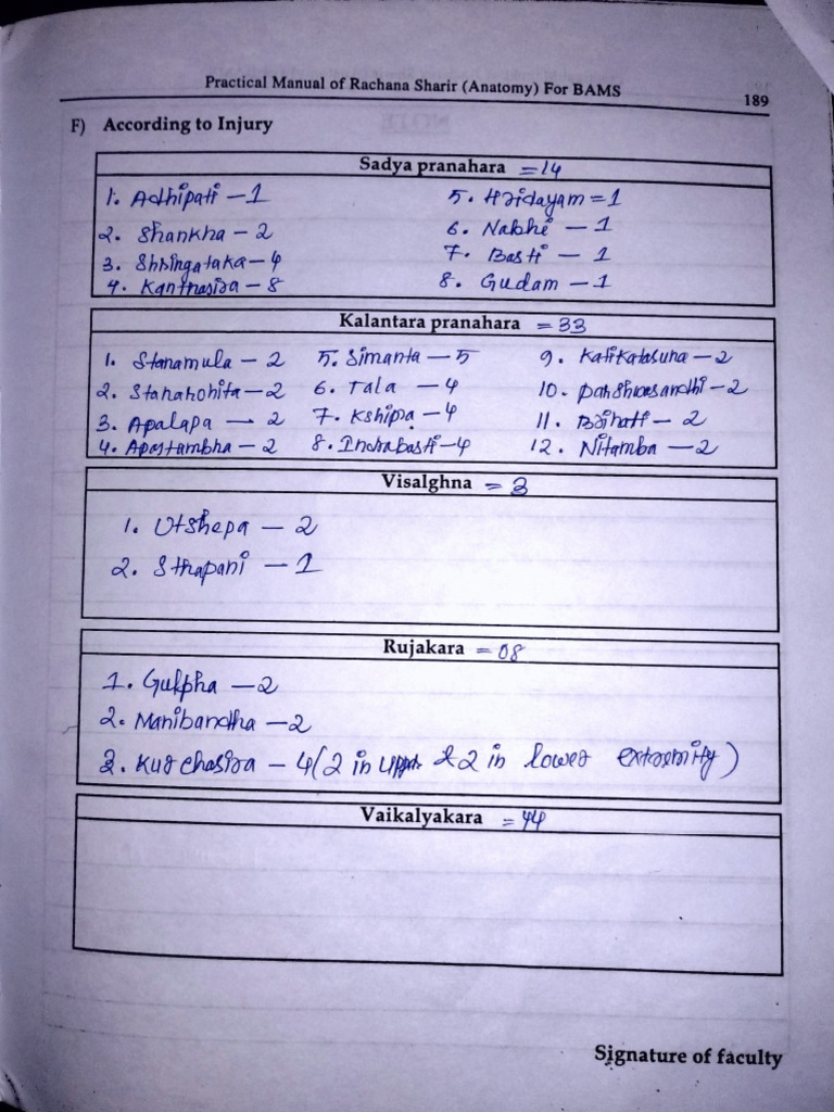 Anatomy Practical | PDF | Anatomy | Human Anatomy
