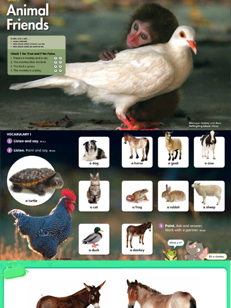 Level 1 Unit 9 | PDF