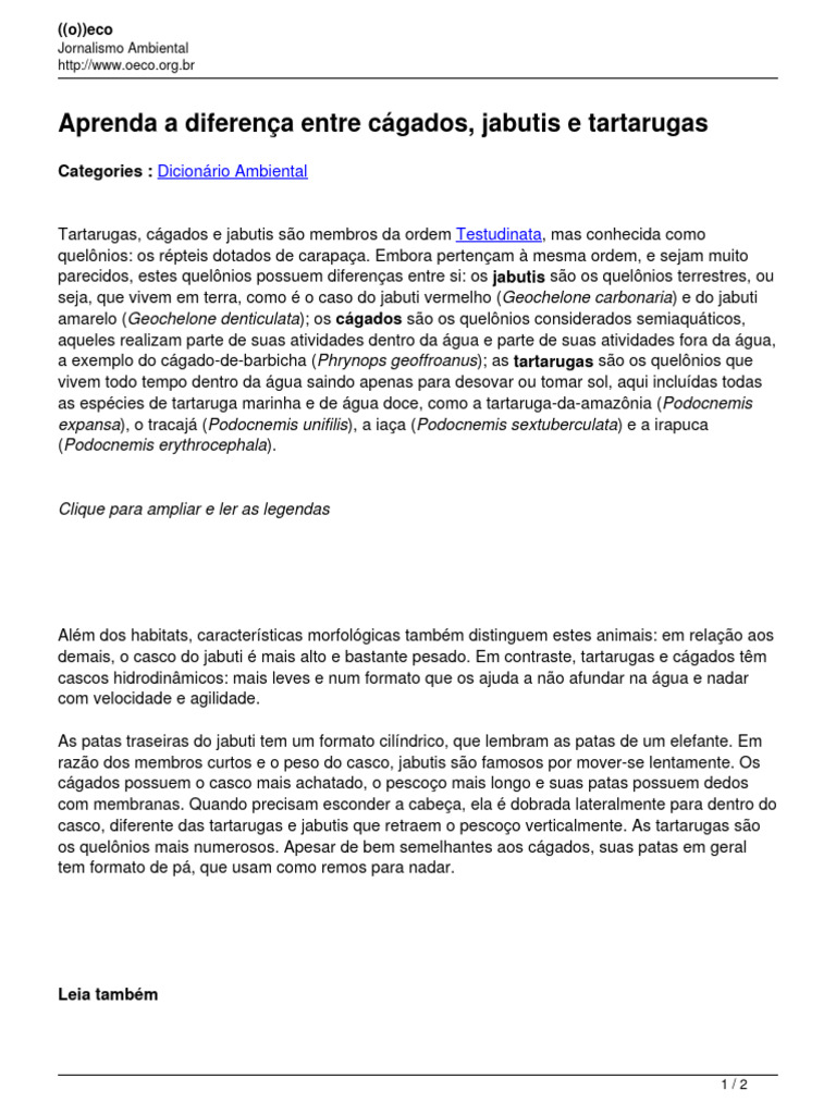 Aprenda A Diferenca Entre Cagados Jabutis e Tartarugas | PDF ...