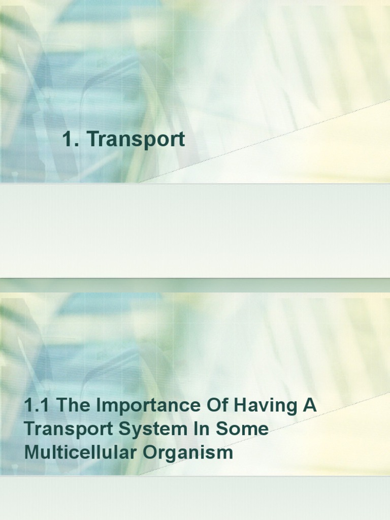 Importance of Transport Systems in Multicellular Organisms | PDF ...