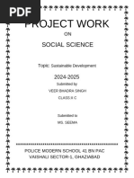 Class 10 Social Science Portfolio Cbse | PDF