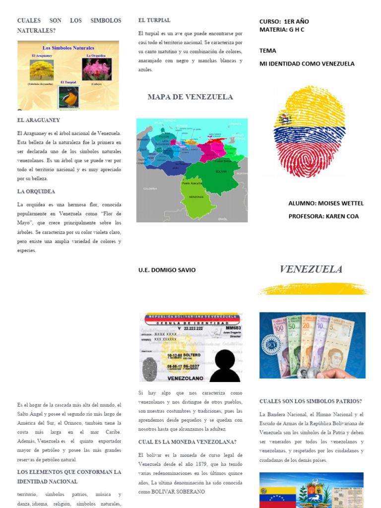 Tarea Moi 07 - 06 Triptico | PDF | Venezuela