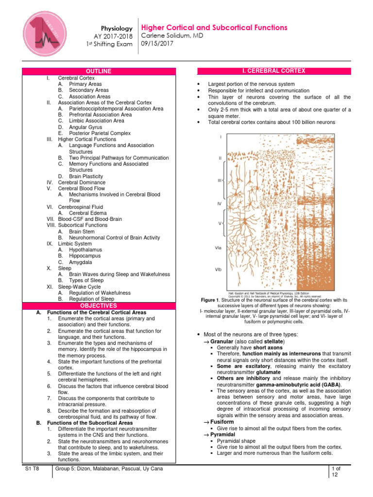Higher Cortical Functions Overview | PDF | Cerebral Cortex | Memory