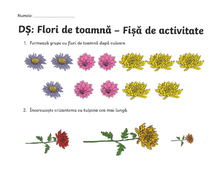 Flori de Toamna Act Mate | PDF