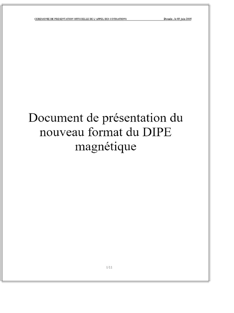 Document de Présentation Du Nouveau Format Du DIPE Magnétique - PDF | PDF