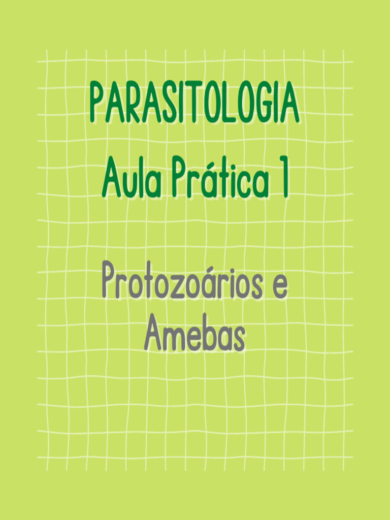 Parasitologia - Lâminas Das Aulas Práticas | PDF | Ovo