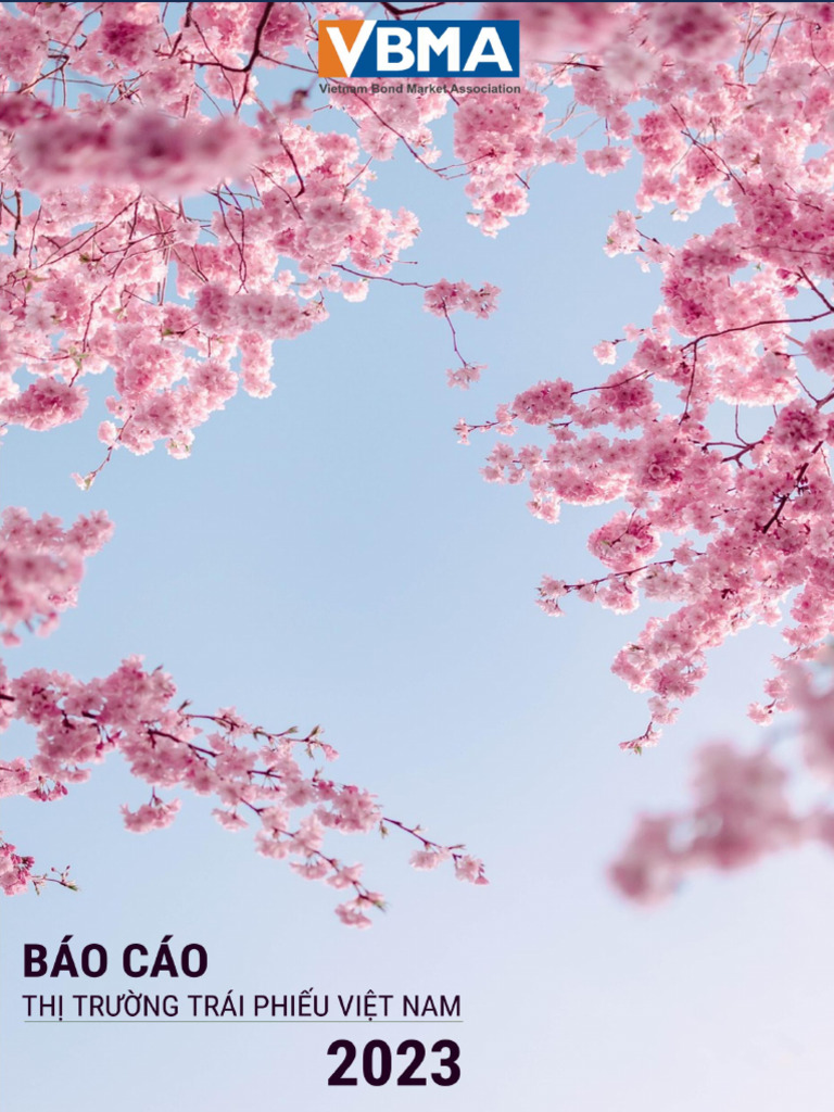 Vbma - Bao Cao Thuong Nien 2023 | PDF