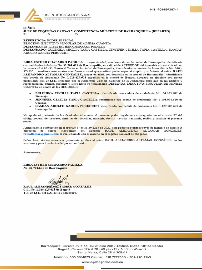 PODER DEMANDA EJECUTIVA | PDF