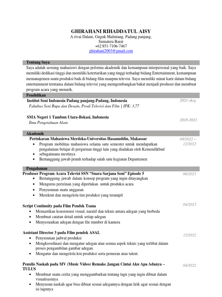 CV Hani Fix | PDF | Karier & Perkembangan | Seni