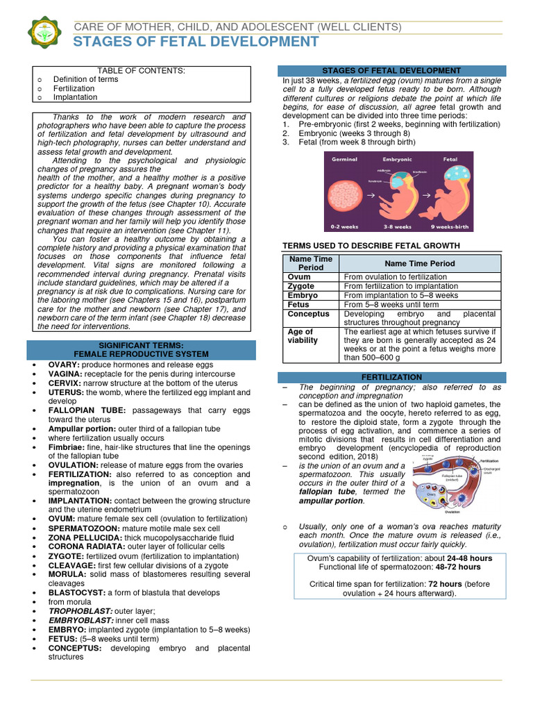 [NCM 107] 1 Stages of Fetal Development | PDF | Uterus | Fertilisation