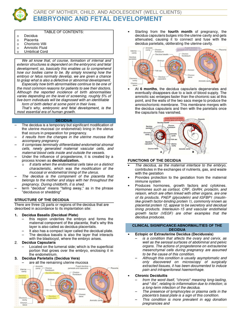 (NCM 107) 2 Embryonic and Fetal Development | PDF | Placenta | Fetus