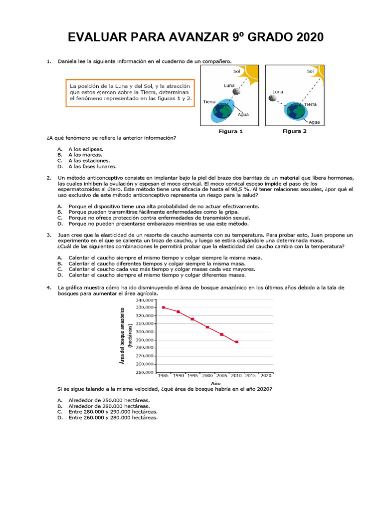 Evaluar para Avanzar 9º-2020 | PDF | Respiración | Plantas