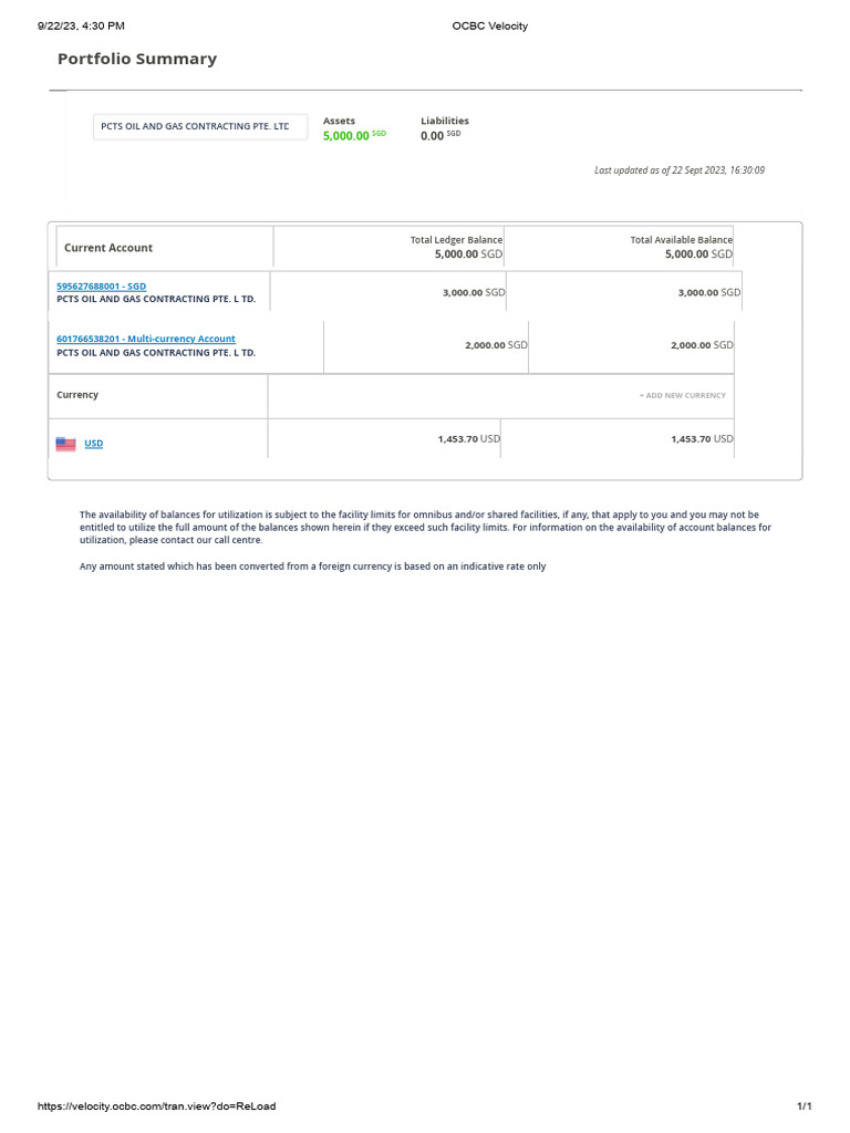 OCBC Velocity Portfolio Summary | PDF