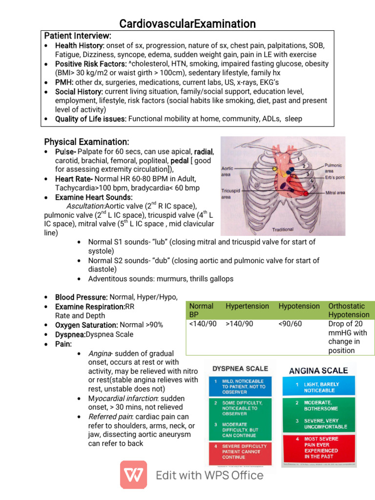 Comprehensive Cardiovascular Examination Guide | PDF | Blood Pressure ...