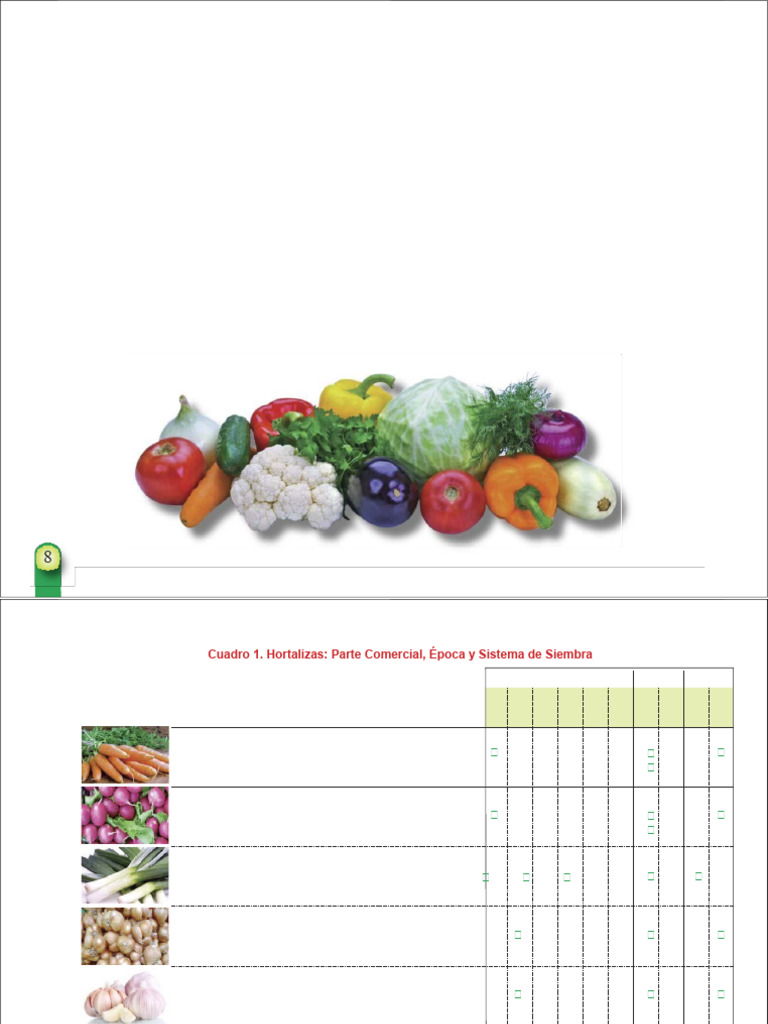 83-Manual para El Cultivo de Hortalizas | PDF | Lechuga | Repollo