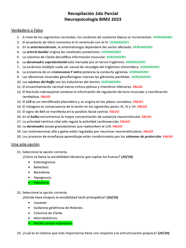Reco 2do Parcial PDF | PDF | Cerebro | Cerebelo