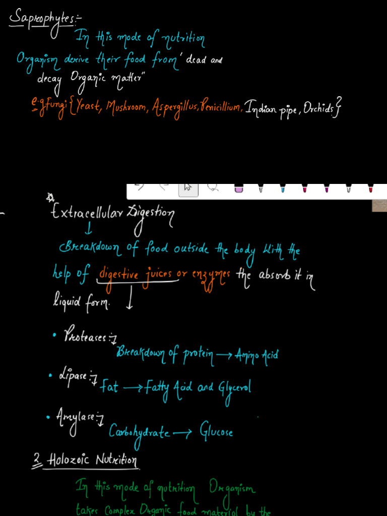 Science Notes A2 | PDF