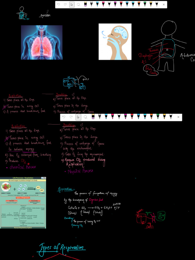 Science Notes A4 | PDF