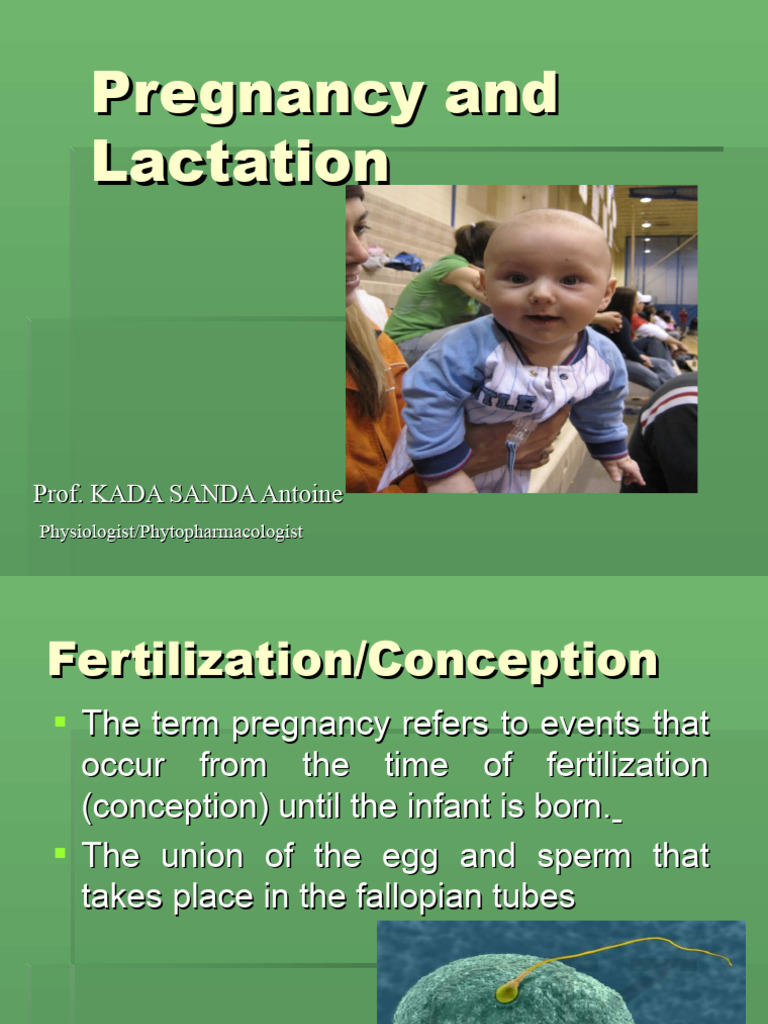 Pregnancy | Download Free PDF | Biological Processes | Biology