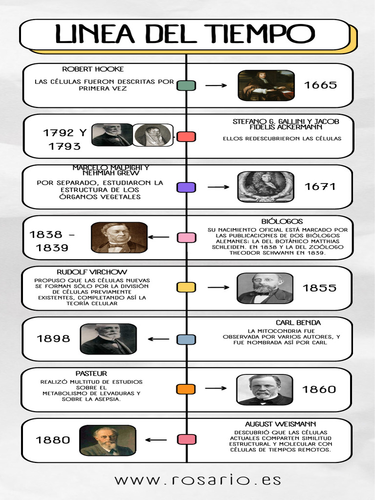 Infografia Línea Del Tiempo Historia Timeline Doodle Multicolor | PDF