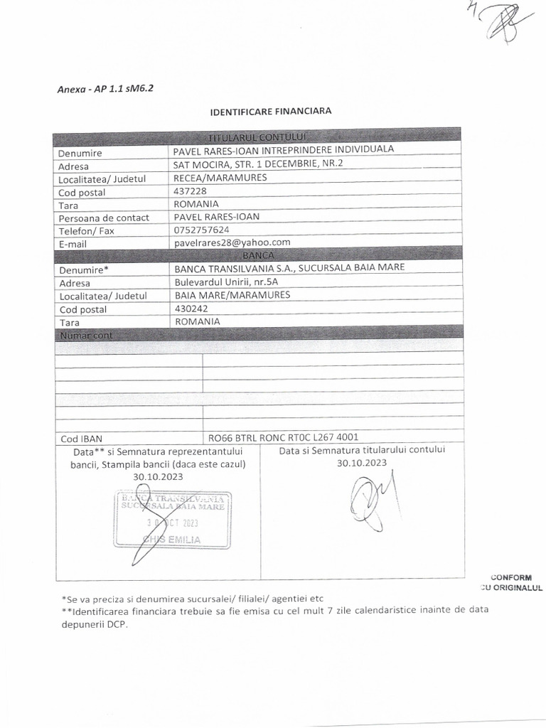 Identificare Financiara | PDF