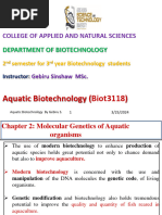 ENVIROPIG | PDF | Genetically Modified Organism | Transgene