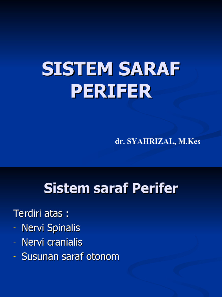 Sistem Saraf Perifer | PDF