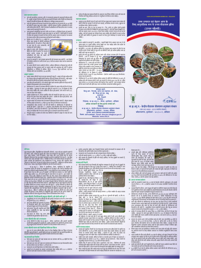 CIFA Prawn Hindi | PDF