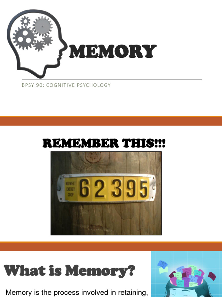 MEMORY | Download Free PDF | Memory | Working Memory