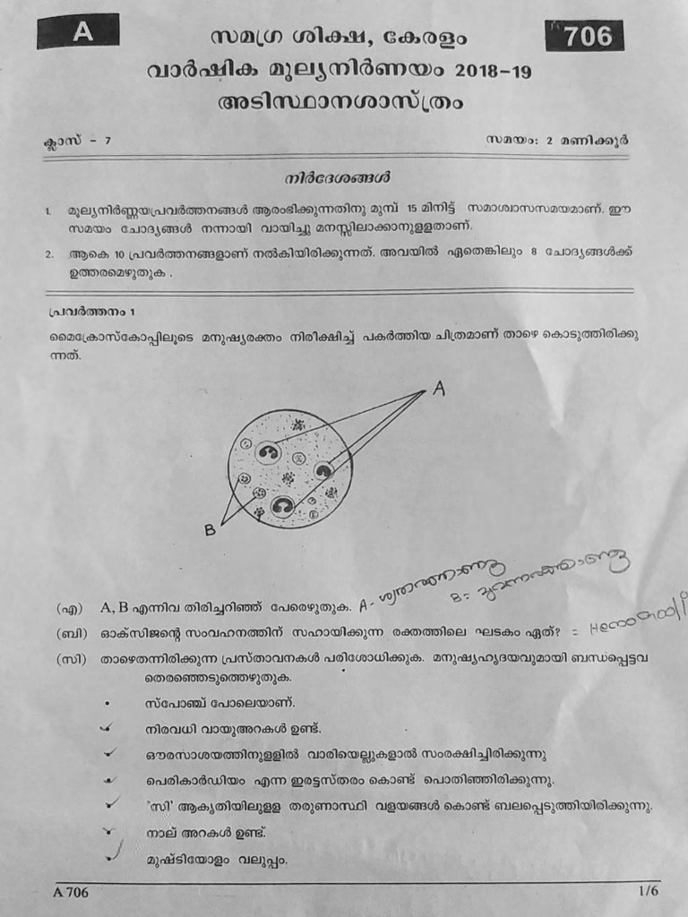 Basic Science Question Paper STD VII - Annual Exam March 2019 | PDF