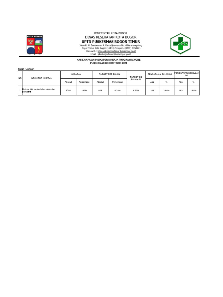 Capaian Kinerja Iva - Cbe 2024 | PDF
