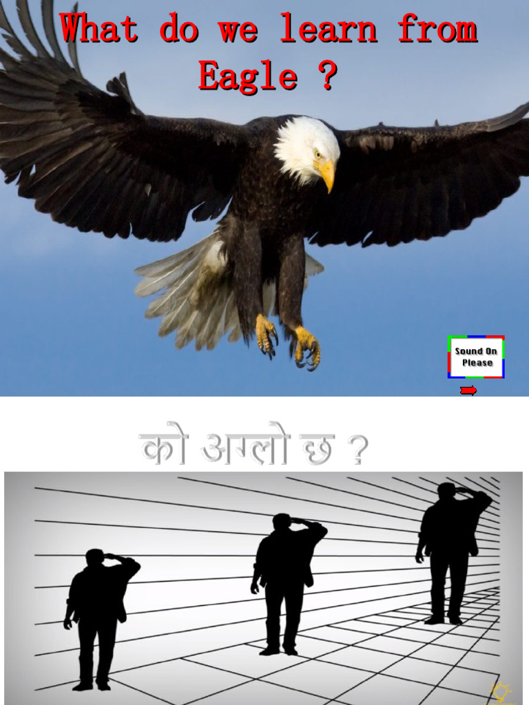 Eagle Mentality | PDF
