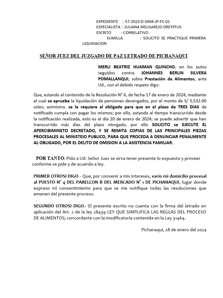 Solicito Ejecute Apercibimiento | PDF